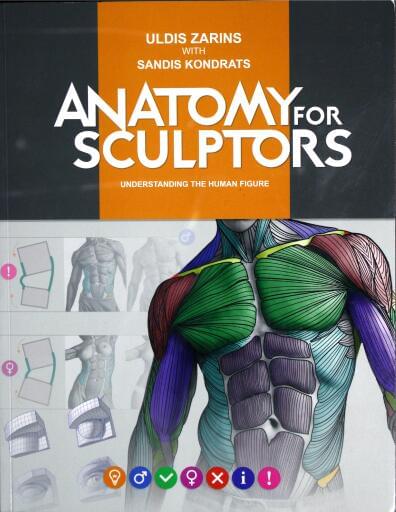 Anatomy for sculptors : understanding the human figure