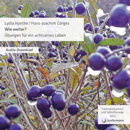 Wie weiter? Übungen für ein achtsames Leben - sanbornsebooks