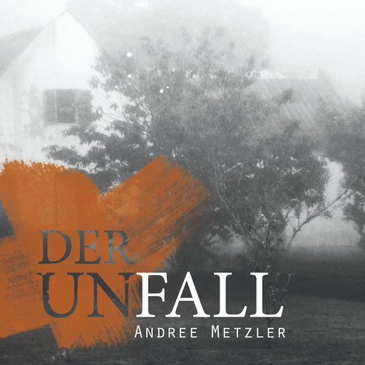 Der Unfall - sanbornsebooks
