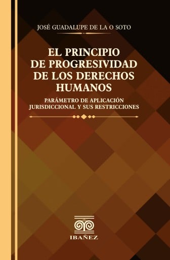 El principio de progresividad de los derechos humanos