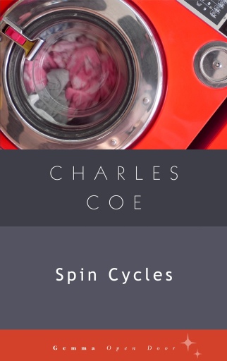 Spin Cycles - sanbornsebooks
