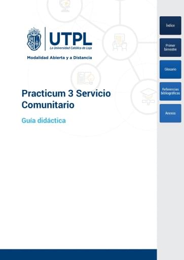 Practicum 3 Servicio Comunitario