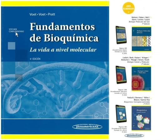Fundamentos de bioquímica: la vida a nivel molecular